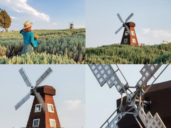 有它你就是焦点 华为nova7系列记录年轻人的青春之美_TOM财经