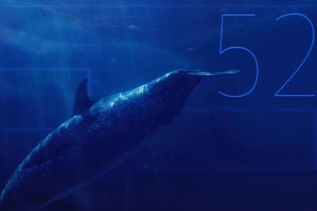 音乐人阿YueYue《52》温情首发 探寻神秘深海梦境_TOM明星