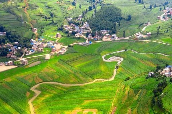 全球31%农田处于农药污染“高风险”中，威胁生物多样性_TOM健康