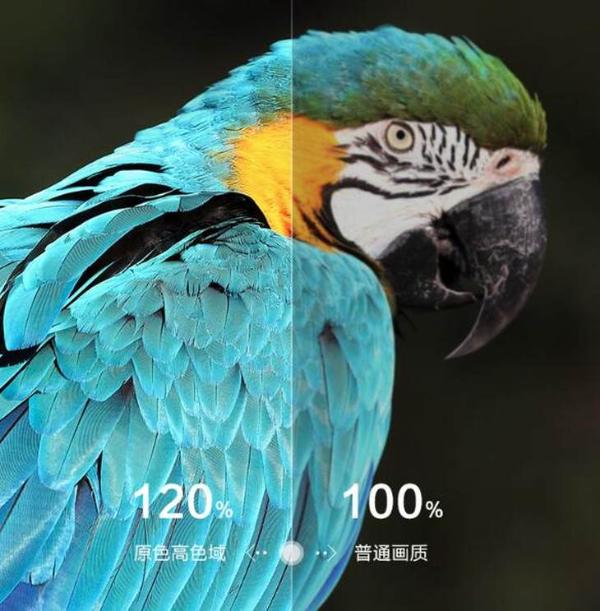 京东家电全球好物排行榜：TCL电视销量第一_TOM财经