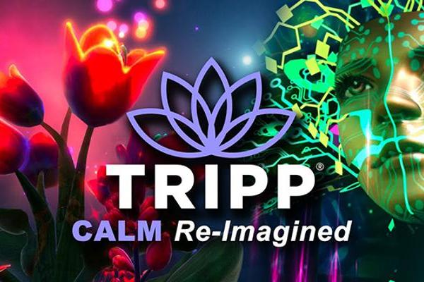 VR冥想初创Tripp完成1100万美元A轮融资_TOM生活