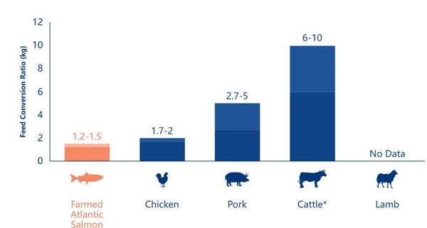 【科普】饲料转化率（FCR）低于1，佳沃食品三文鱼吃一斤长一斤技术大揭秘 _TOM资讯