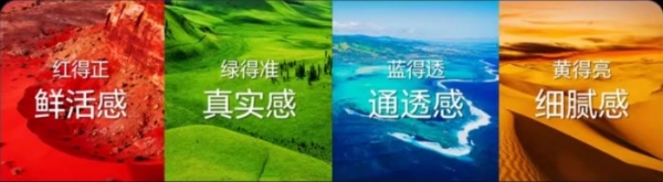 盘一盘新款RGB-MiniLed电视哪款值得买 _TOM资讯